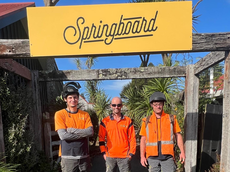 SPRINGBOARD - Tree King